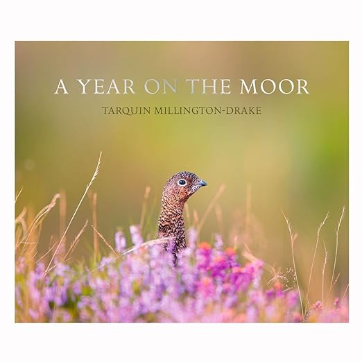 A Year on the Moor: Amazon.co.uk: Millington-Drake, Tarquin, Herrmann ...