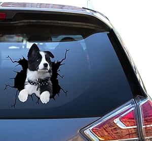 Amazon.com: Border Collies Stickers Border Collie Car Window Decal ...