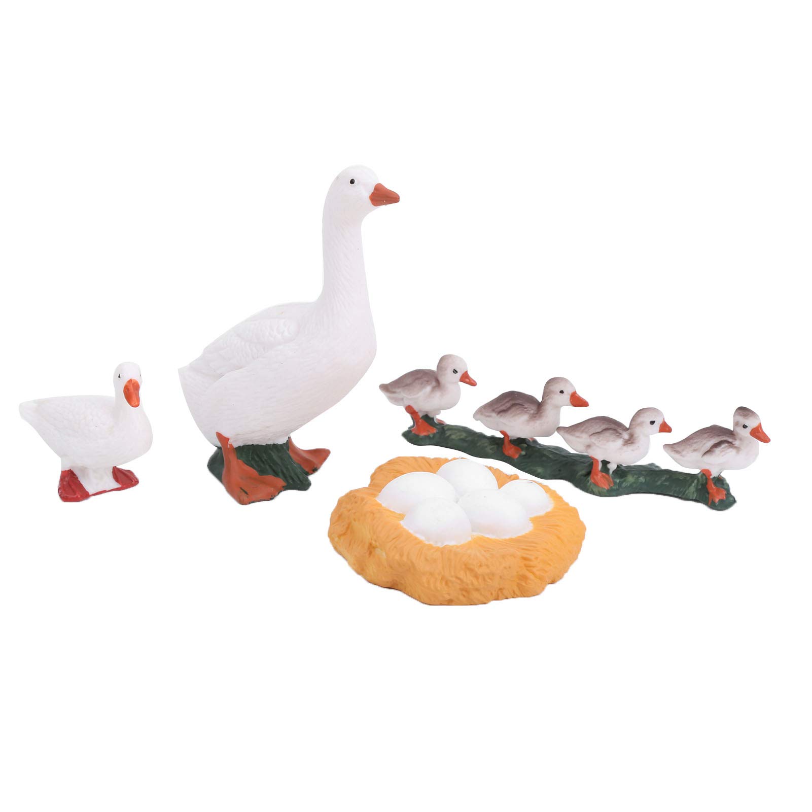Buy NIBEMINENT 4 Stage Growth Cycle Model Animal Duck Life Cycle Models ...