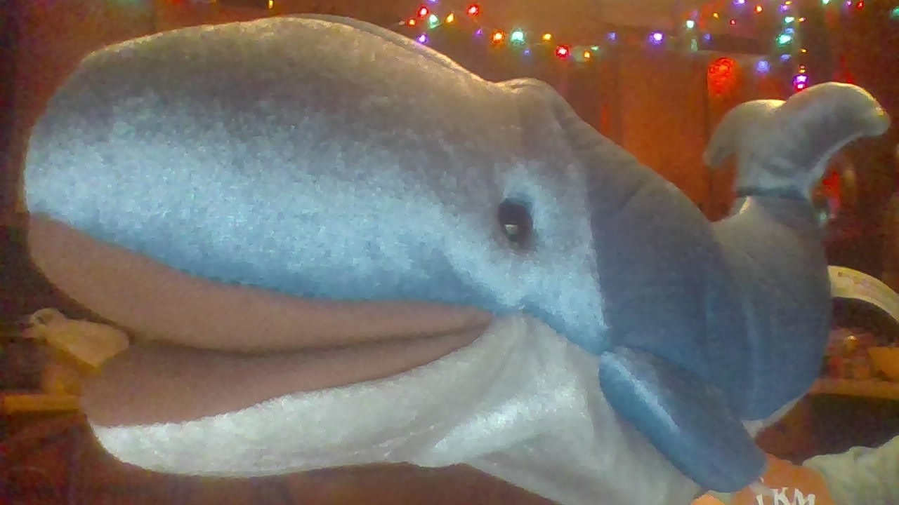 Amazon.com: Folkmanis Whale Hand Puppet : Toys & Games