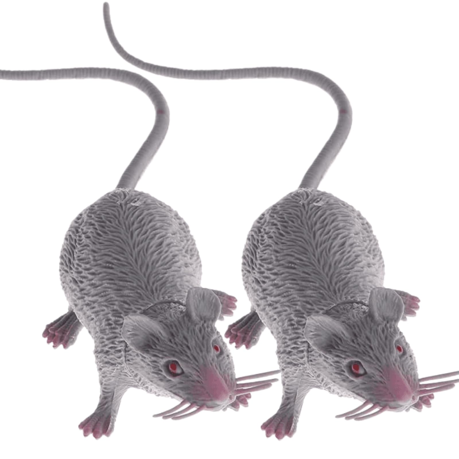 Amazon.com: 2 Pack Lifelike Gray Plastic Halloween Rat Toy - Realistic ...