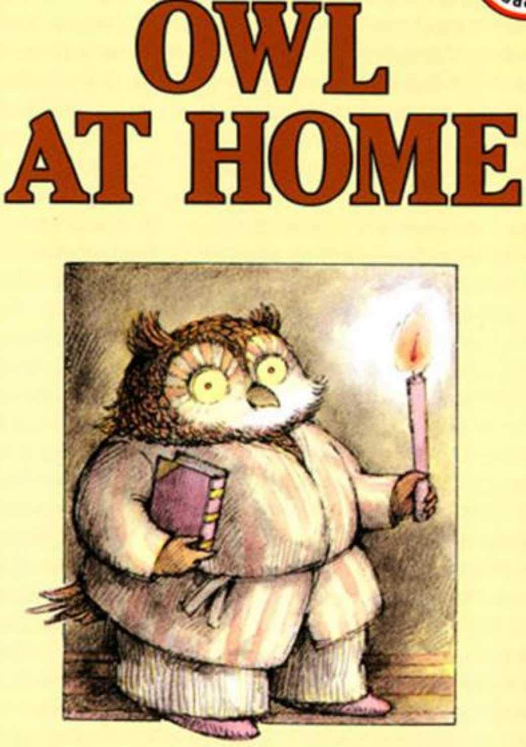 Amazon.com: Owl at Home: kids bookshelf eBook : Johnson, Eugene: Kindle ...