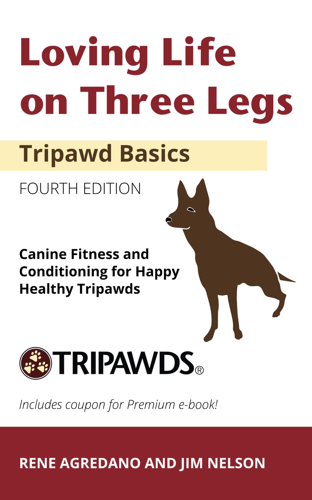 Happy Three Legged Dog Lessons I've Learned From My 2 And 3 Legged