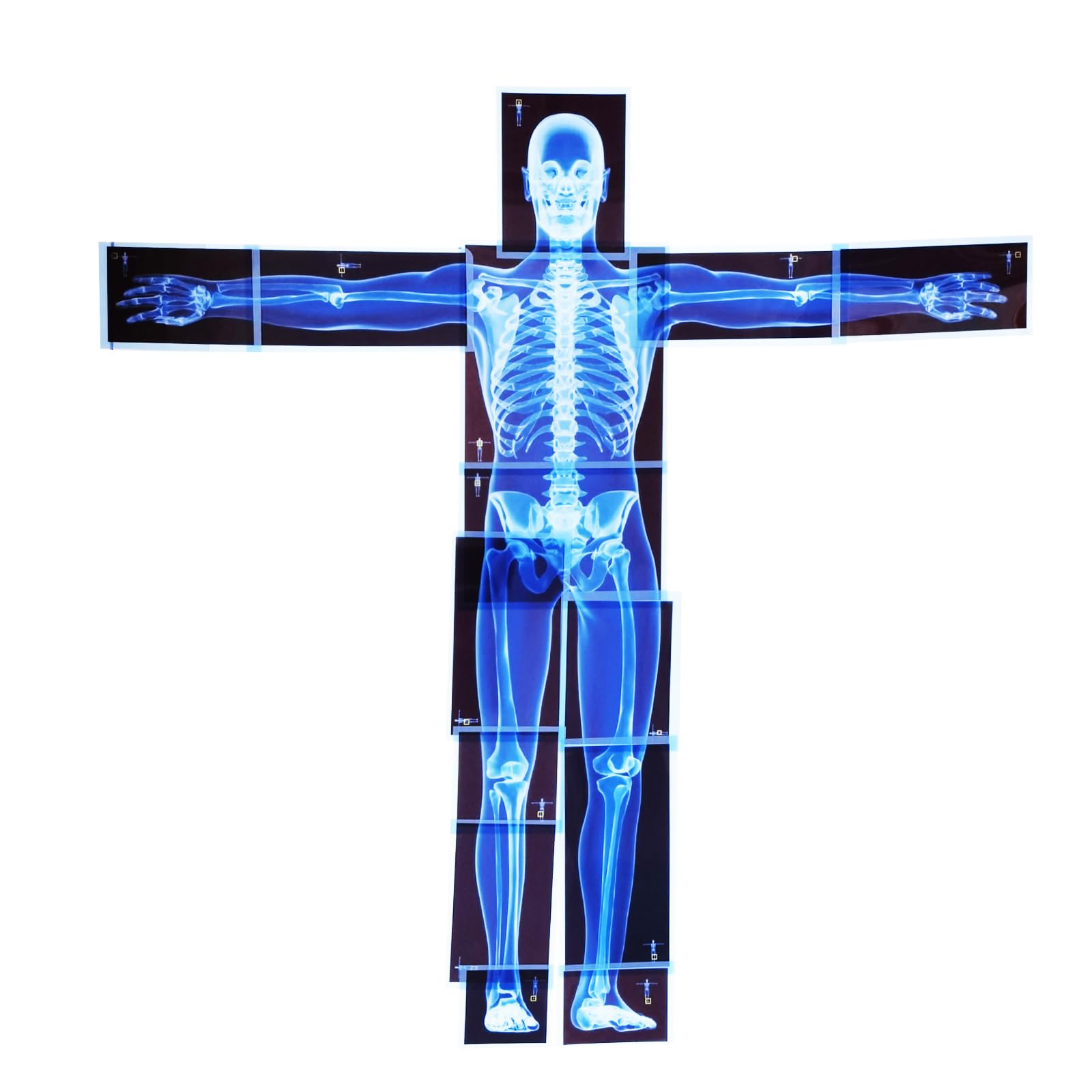 Snapklik.com : Yichushisu Lifelike Human Body X-Ray Puzzle Kit ...