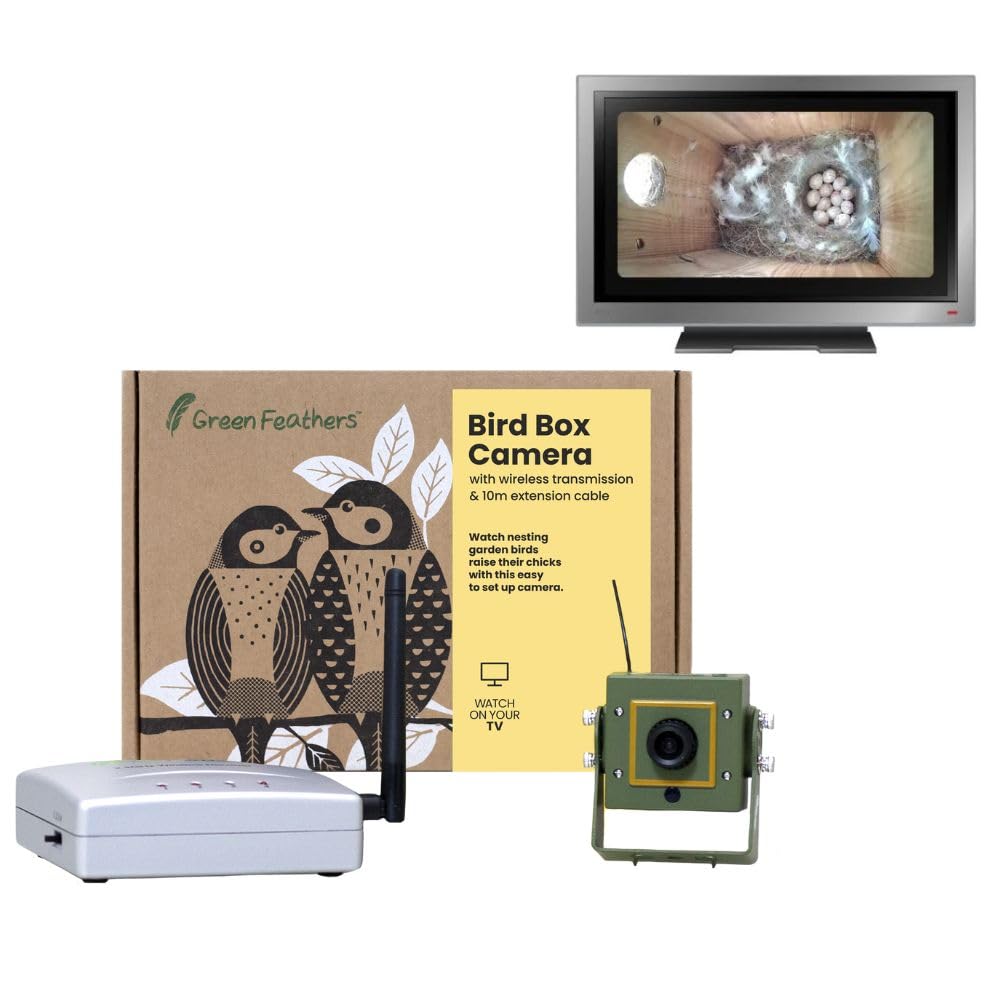 Green Feathers Wildlife Wireless Bird Box 700 TVL Camera, Wireless ...