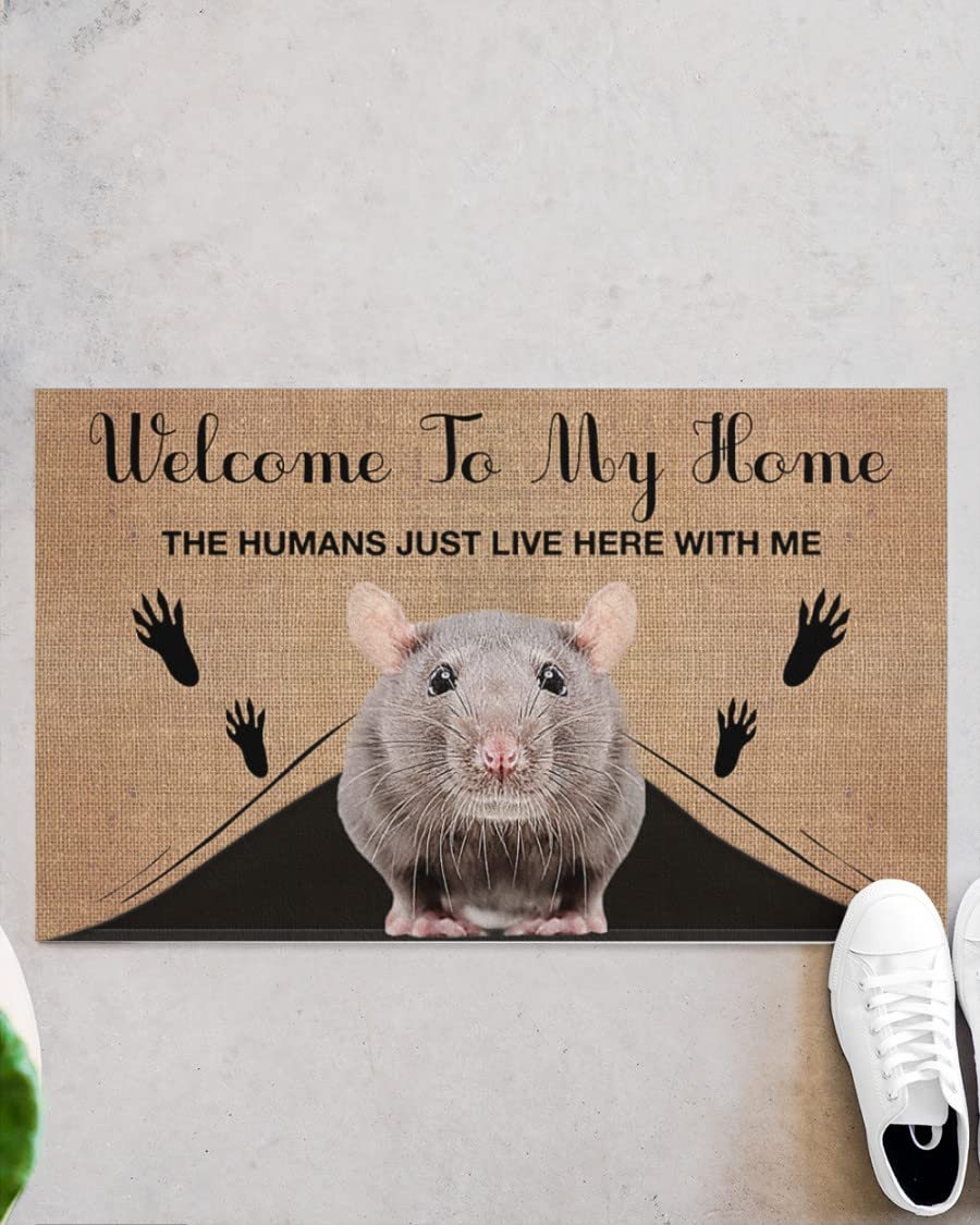 Your Welcome Hamster Welcome My Precious Daughter, Choco