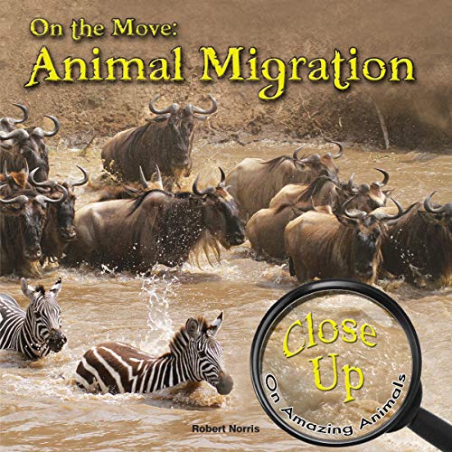 Amazon.com: On the Move: Animal Migration (Close-Up on Amazing Animals ...