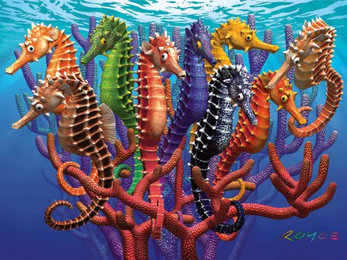 White Mountain Puzzles Seahorses - 550 Piece Jigsaw Puzzle (B0013C8RTA ...