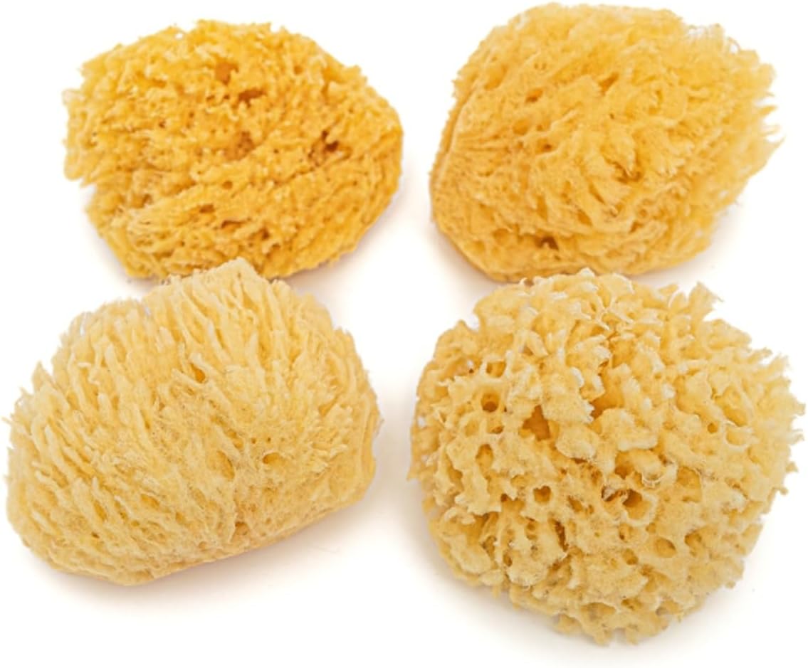 Natural Ocean Sponges | Soft,Yellow sea sponges for Newborn Babies Bath ...