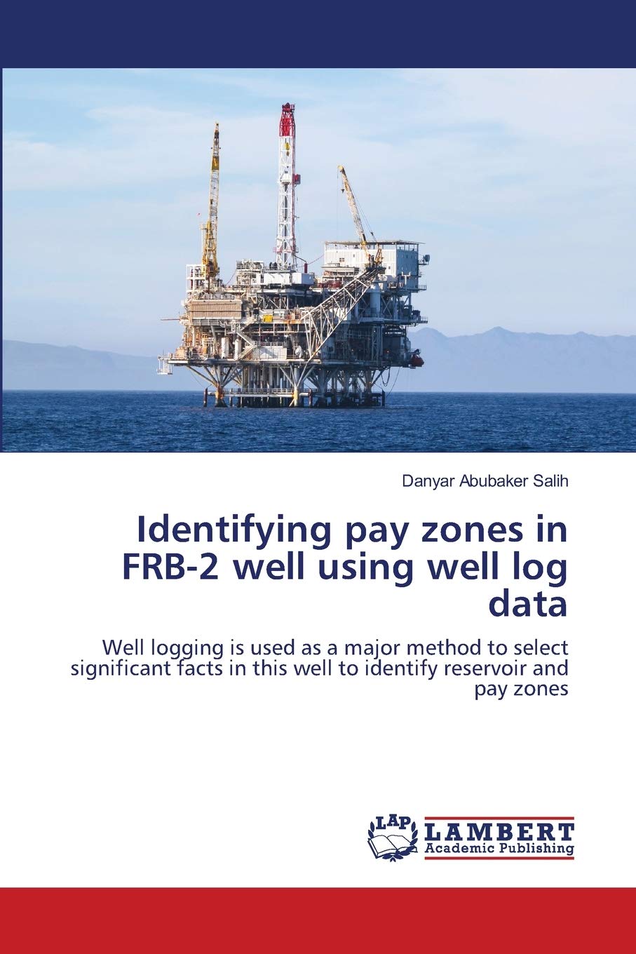 Buy Identifying pay zones in FRB-2 well using well log data Online at desertcartINDIA
