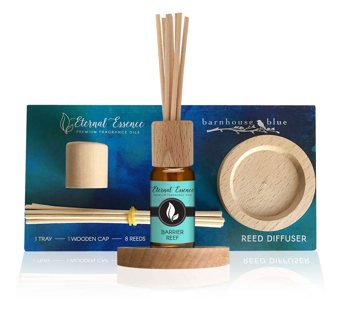 Amazon.com: Barrier Reef 10ML - Premium Grade Fragrance Oils & Wooden ...