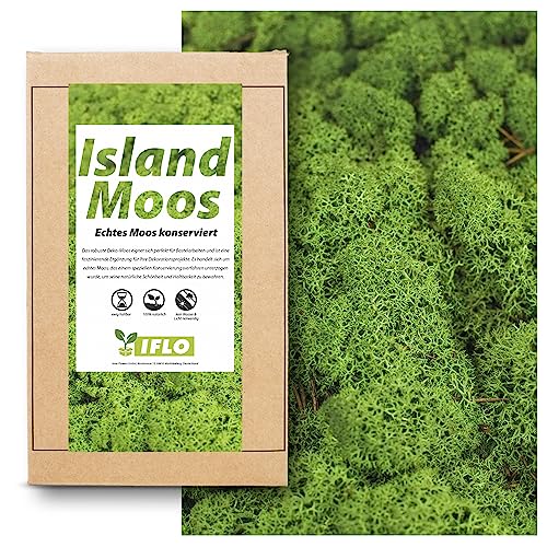 Islandmoos Lebend Kaufen – Die 15 besten Produkte im Vergleich - Aquaristik