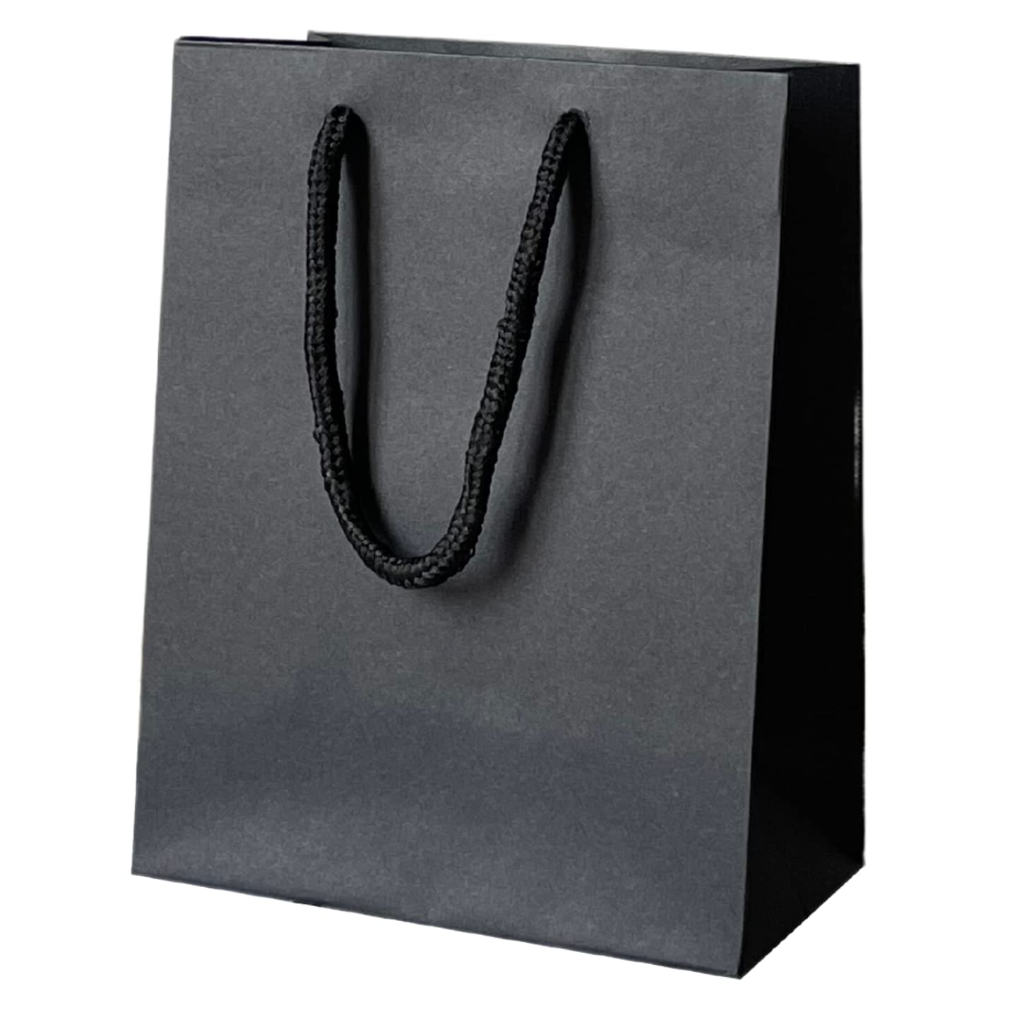 Thepaperbagstore 15 Black, Matt Laminated, Reusable Boutique Paper Bags ...
