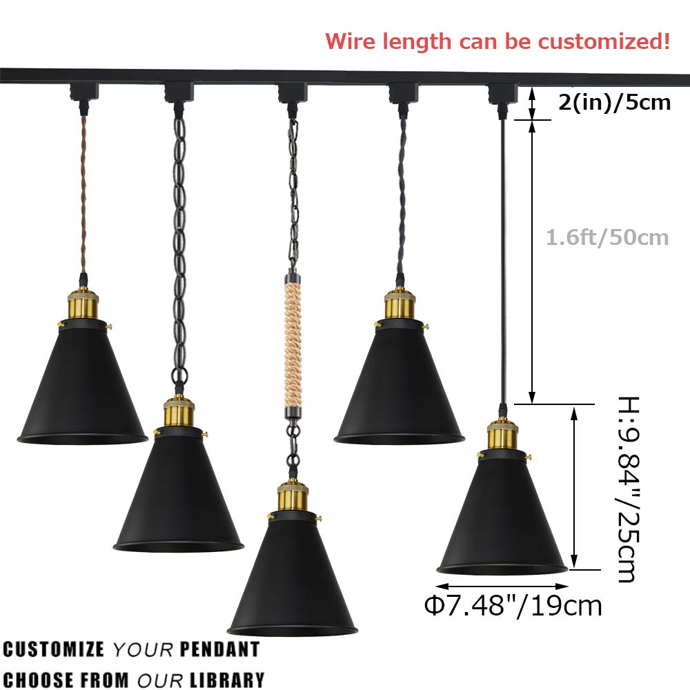 Custom Track Lighting Pendants Explore 15 Track Lighting Pendant Ideas