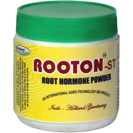Rooton-St Cutting Root Hormone Powder for Wood Cuttings | Fast Root ...