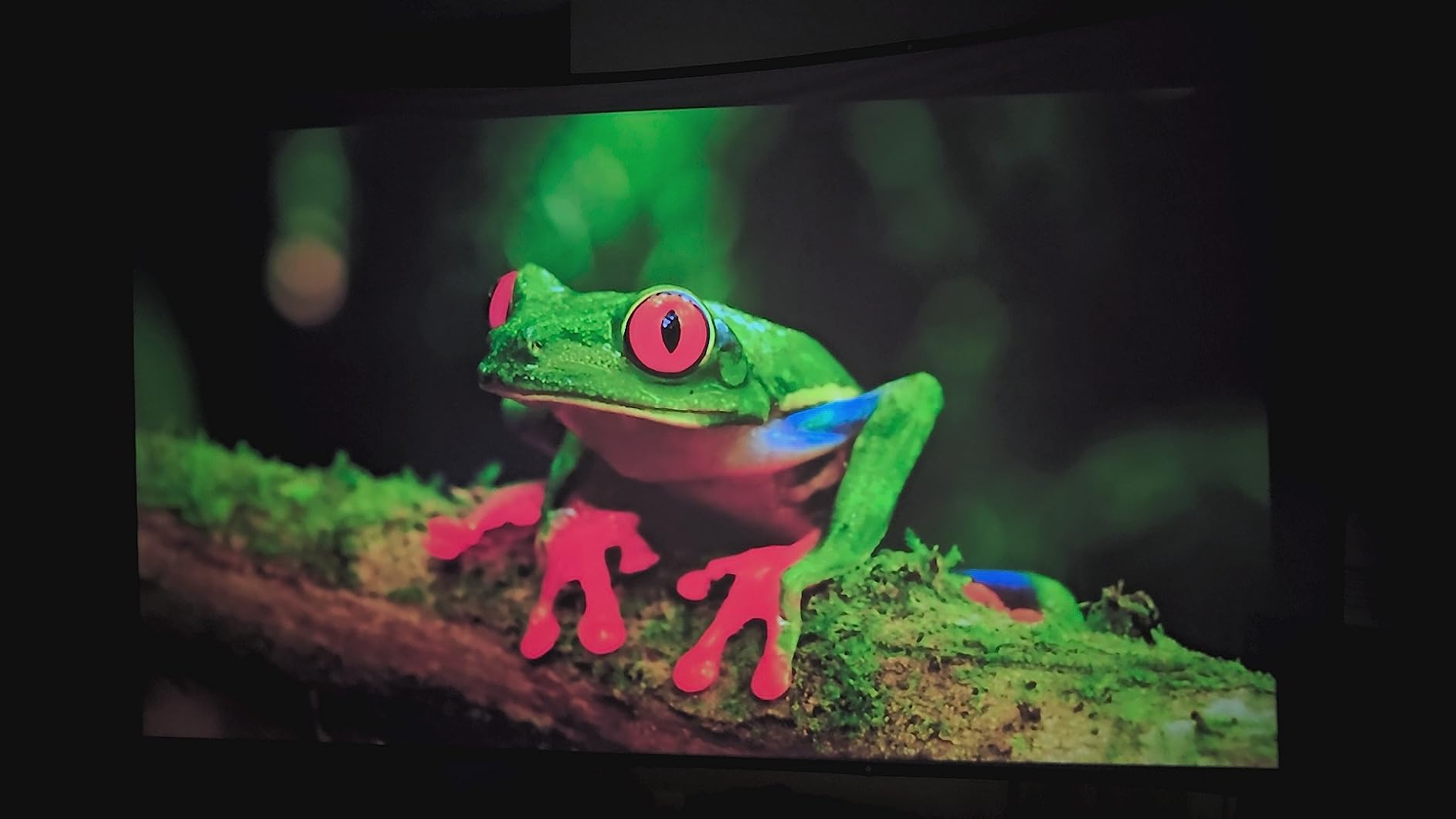 $25/mo - Finance 【Electric-Focus】Mini Projector, TOPTRO TR25 Outdoor ...