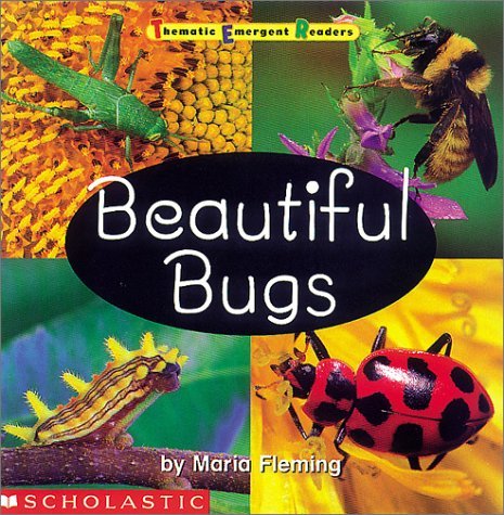 Emergent Readers Series: Beautiful Bugs (Grades K-2): Fleming, Maria ...