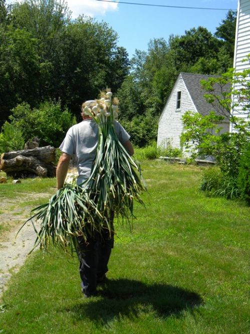 Amazon.com: Randy Warren: books, biography, latest update