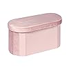 Beautify Storage Trunks, Set of 2 Pink Velvet Finish Storage Chests w ...
