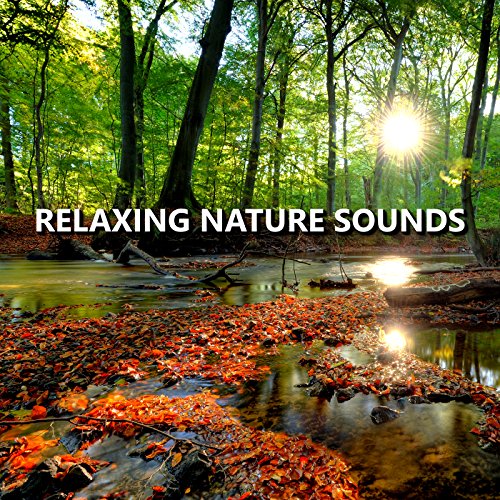 Amazon.com: Relaxing Nature Sounds : Nature Sounds Nature Music ...