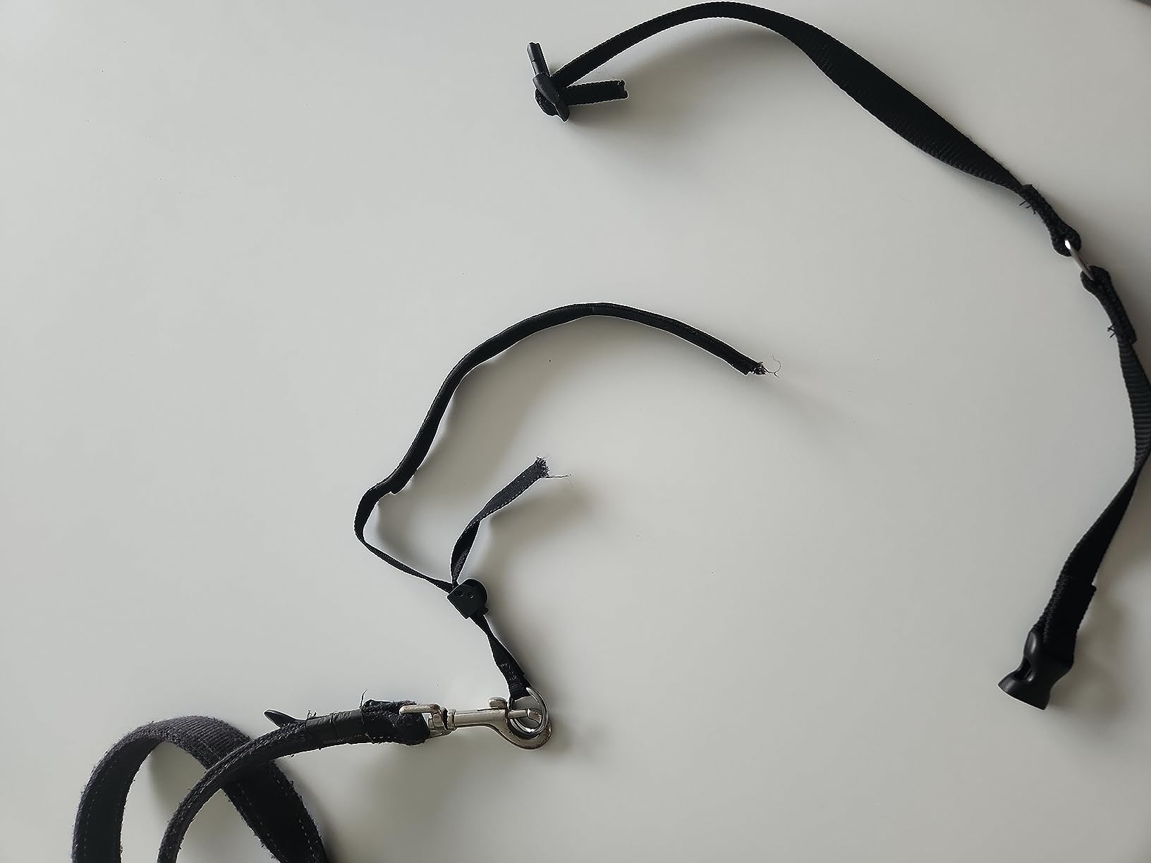 Beau Pets Gentle Leader Dog Head Collar, Black, Large : Amazon.com.au: Pet Supplies