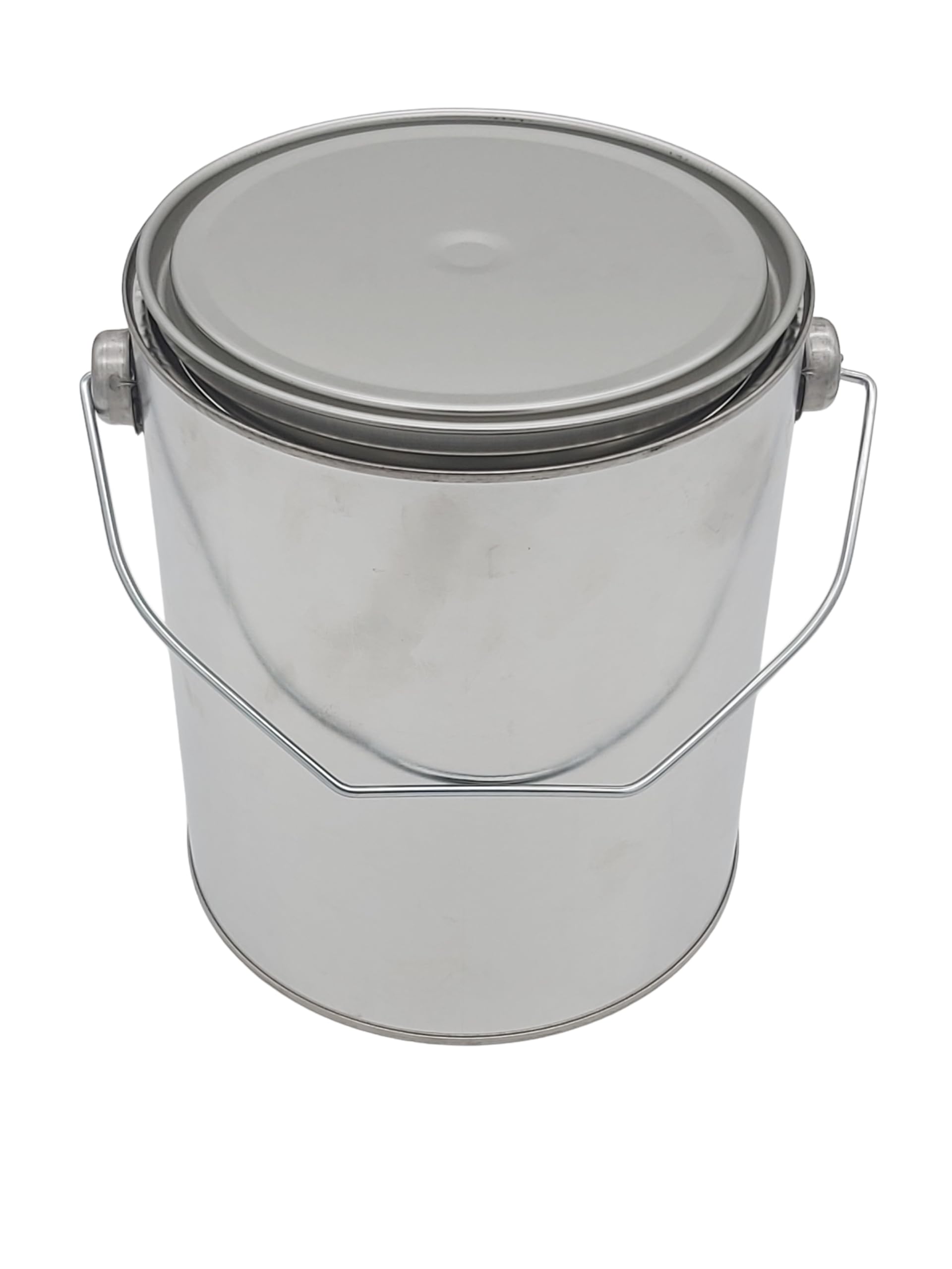 Amazon.com: AUTORIND Empty Gallon Size Paint Can with Lid and Handle ...