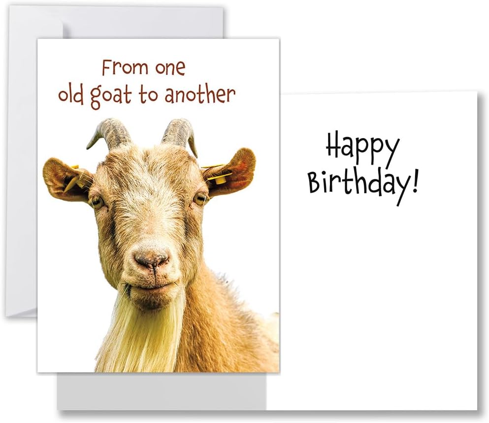 Amazon.com: Old English Co. Funny Birthday Card for Men and Women - You ...