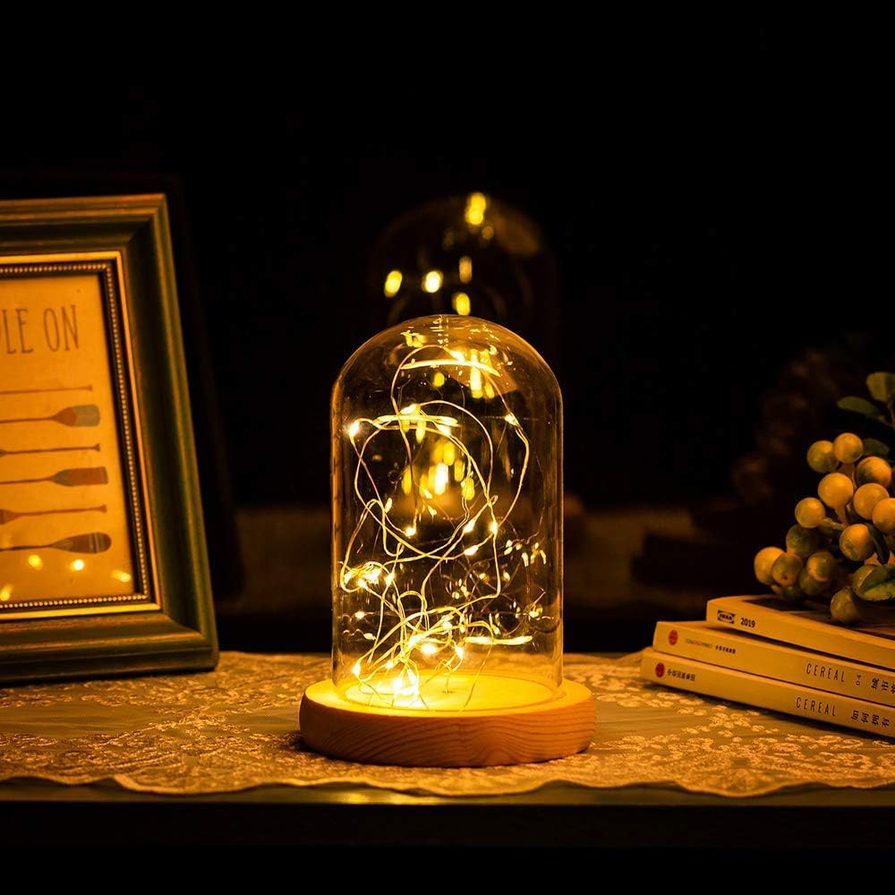 LEDMOMO Glass Dome Lights, Dome Cloche LED Night Light Table Lamp USB ...