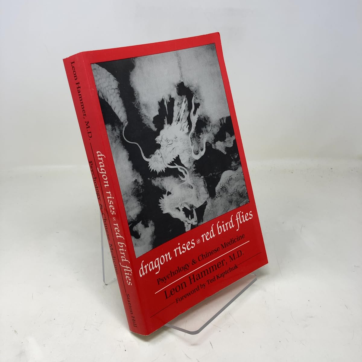 Dragon Rises, Red Bird Flies: Psychology, Energy and Chinese Medicine ...