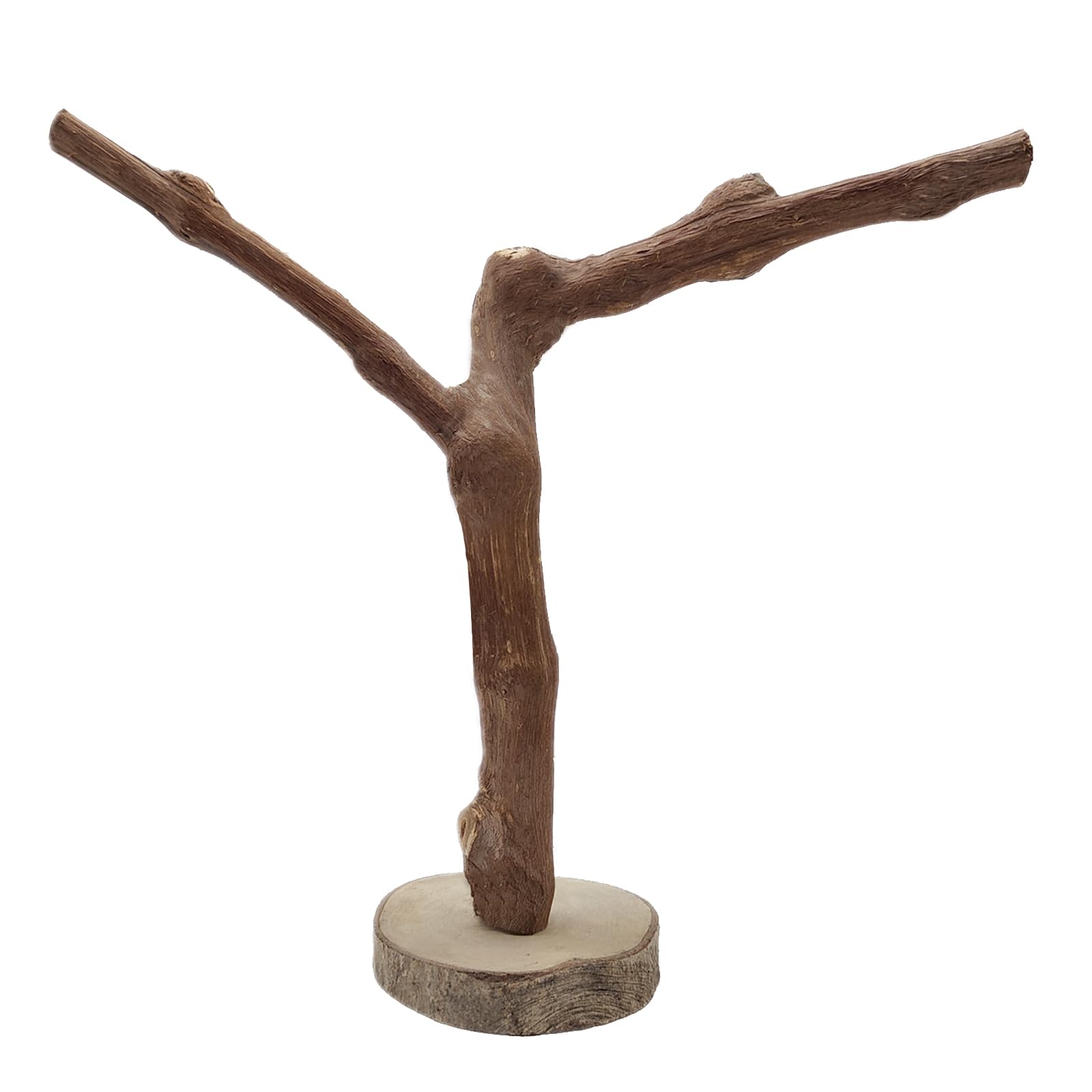 Amazon.com: BNOSDM Reptile Grapevine Wood Decoration Lizard Natural ...