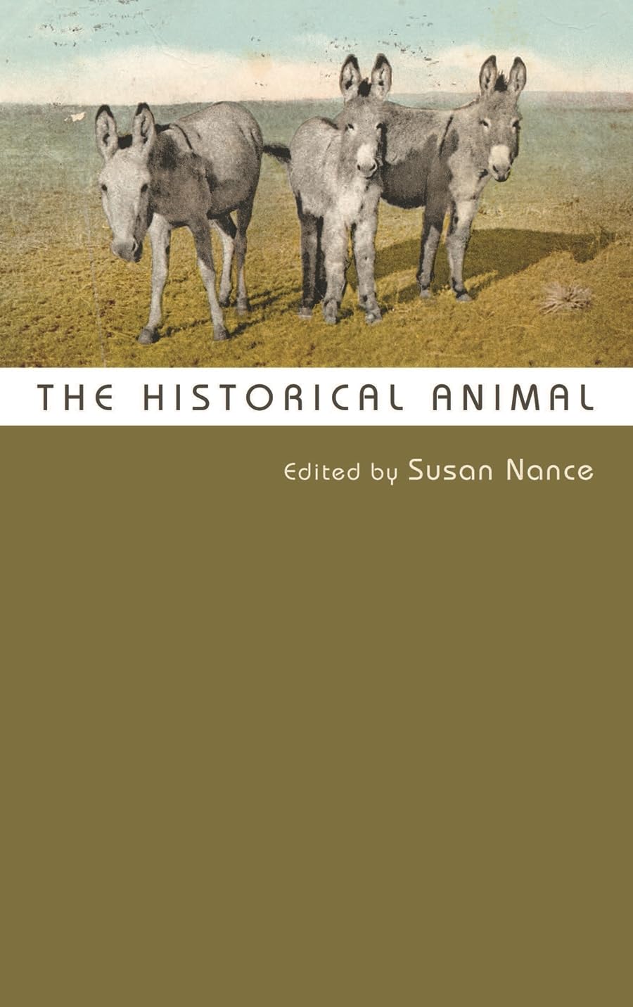The Historical Animal: Nance, Susan, Colby, Jason, Gibson, Abraham H., Swart, Sandra, Tortorici ...