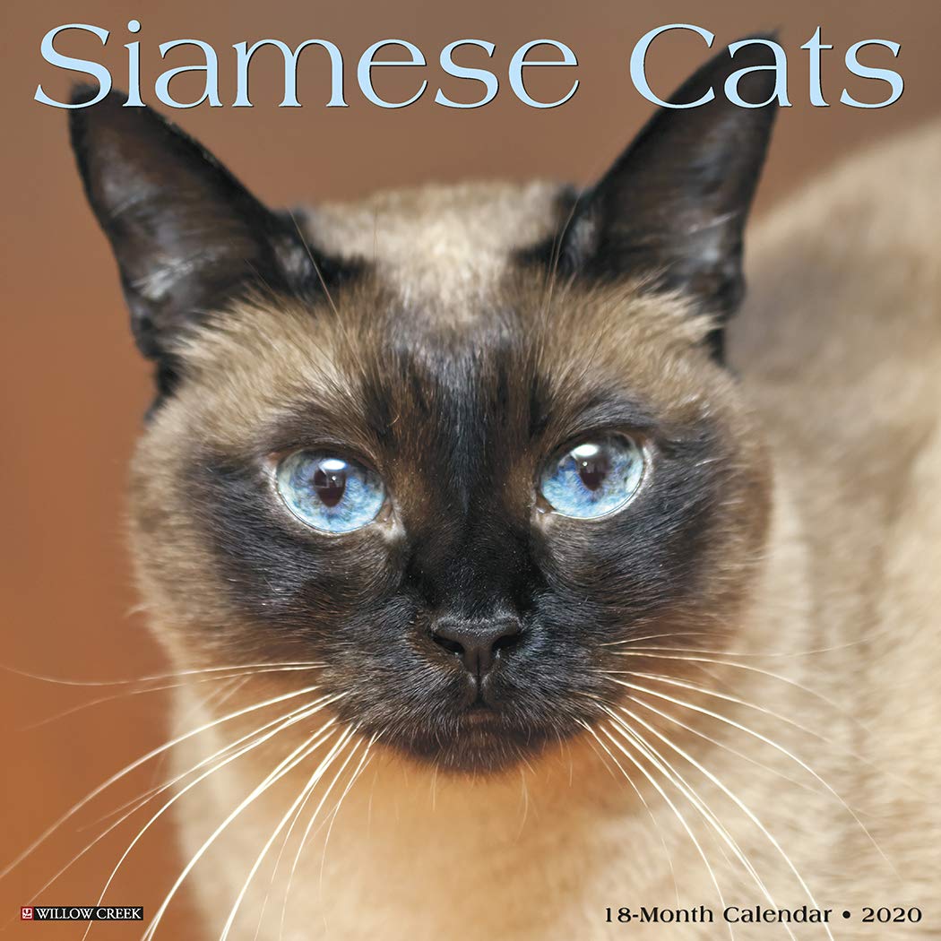 Siamese Cats 2020 Wall Calendar: Willow Creek Press: 9781549207853 ...