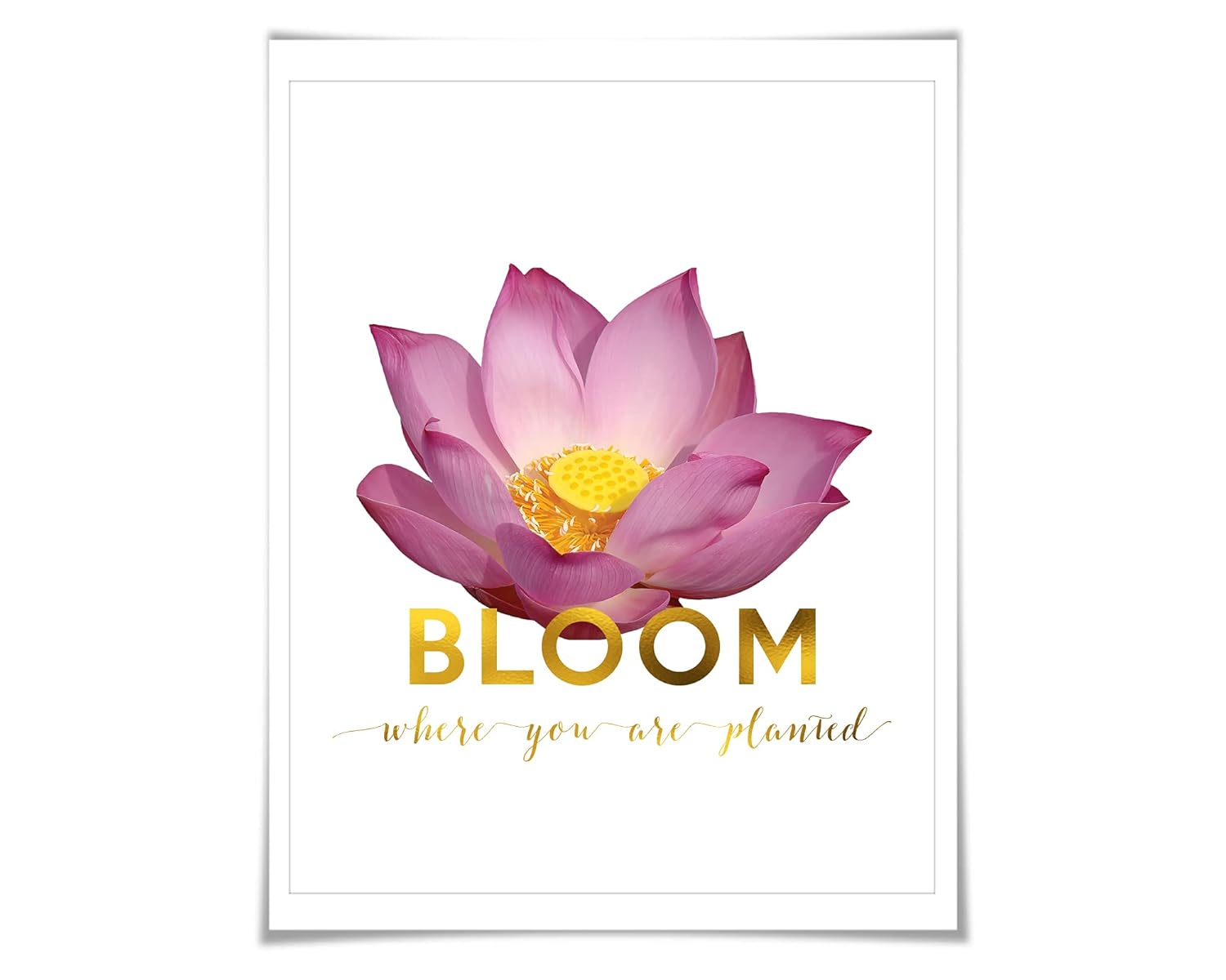 Amazon.com: Bloom Where You Are Planted Gold Foil Art Print. 3 Sizes ...