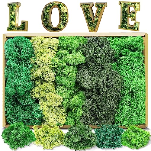 Musgo artificial Ikea: plantas y flores artificiales para decorar tu ...