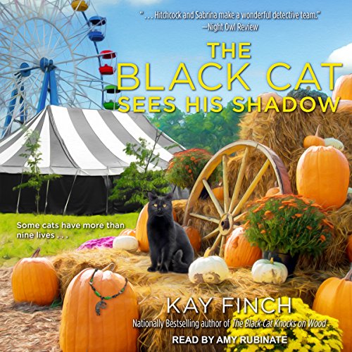 Amazon.com: The Black Cat Sees His Shadow: Bad Luck Cat Mystery Series ...