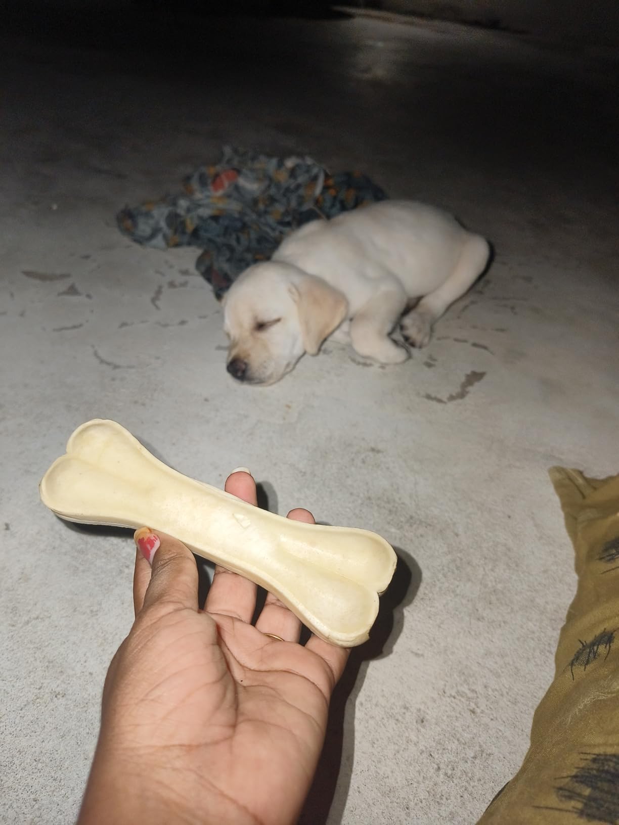 EXCITE BITES Rawhide Dog Bones | Chew Bones for Dogs | Rich in Protein ...