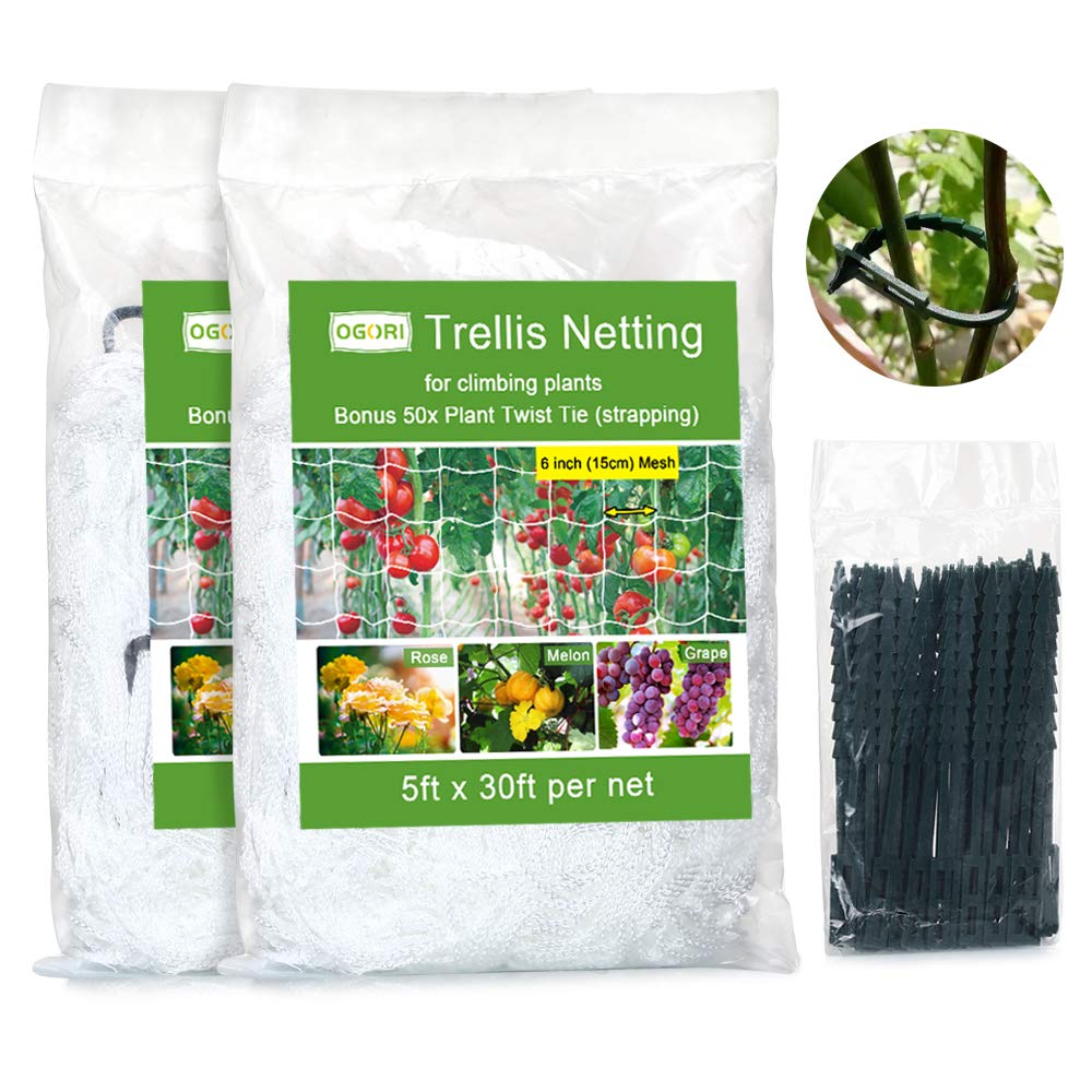 Buy OGORI 5 x 30ft Heavy-Duty Trellis Netting 2 Pack, Tangle-Free ...