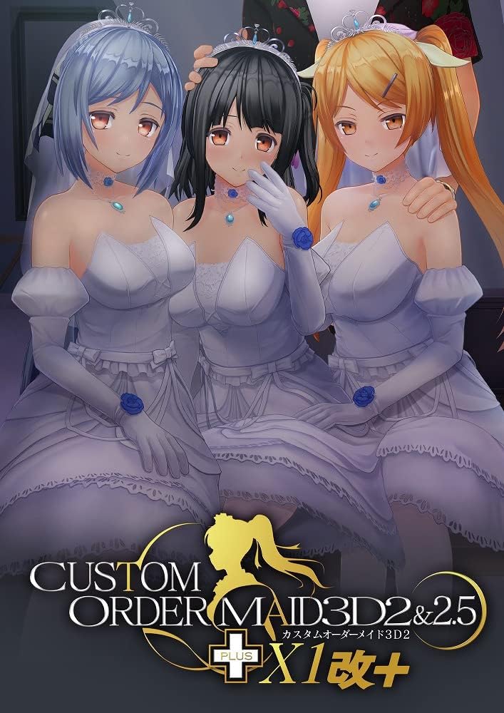 Amazon.co.jp: カスタムオーダーメイド3D2&2.5+ X1改+ : PCソフト