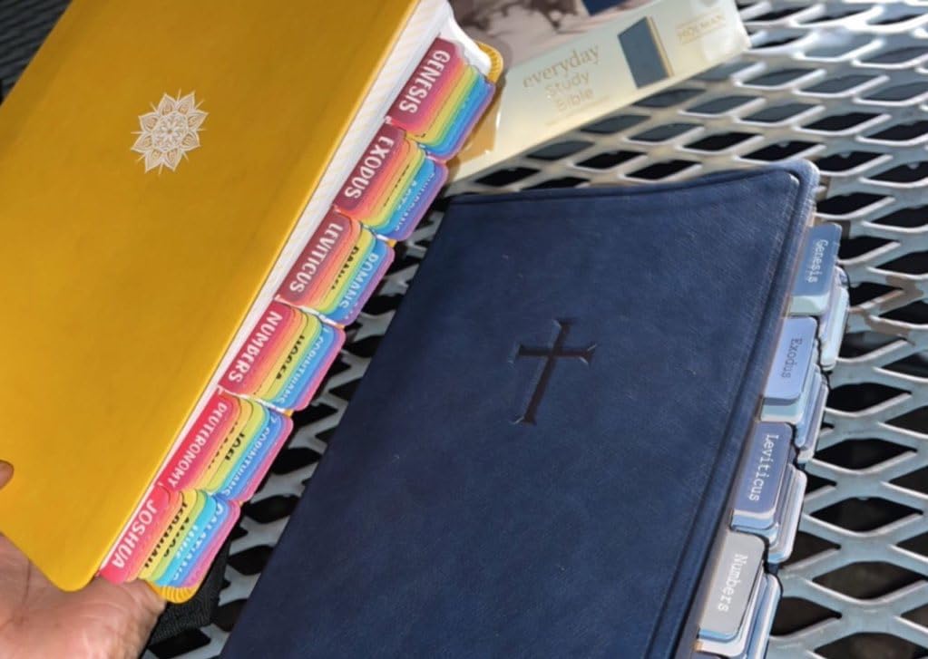 CSB Everyday Study Bible, Navy Cross LeatherTouch, Black Letter, Study ...