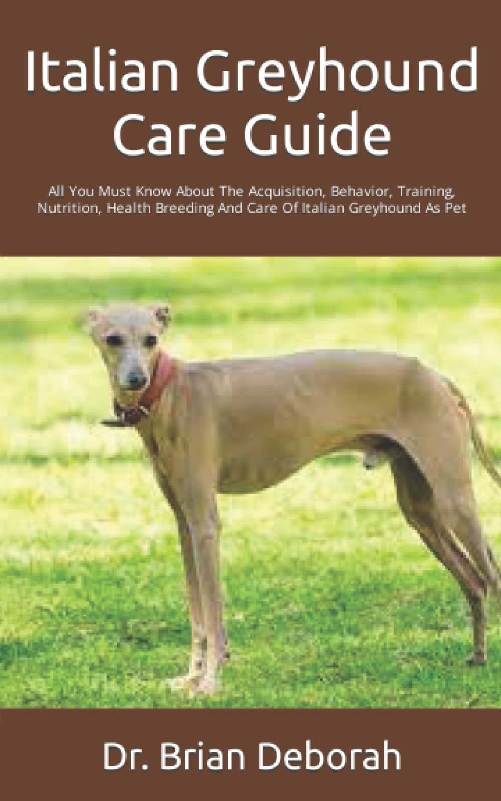 Italian Greyhound Care Guide All You Must Know About Acquisition ...