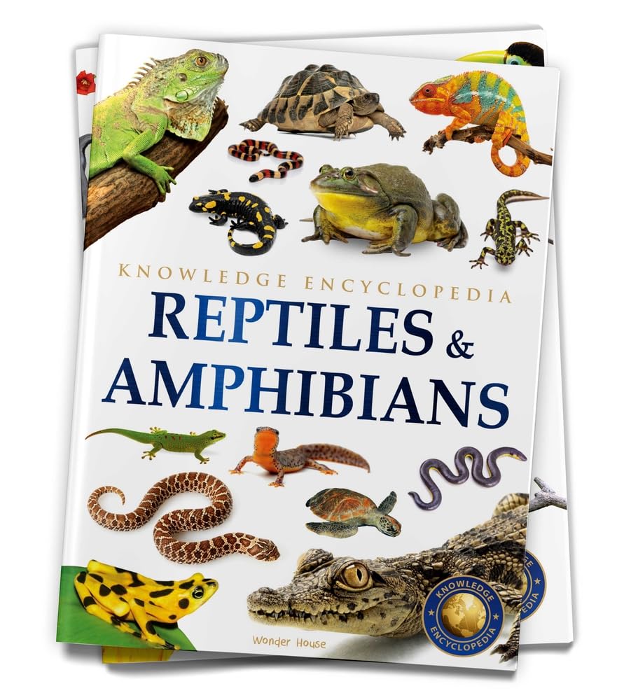 Animals - Reptiles and Amphibians : Knowledge Encyclopedia For Children ...