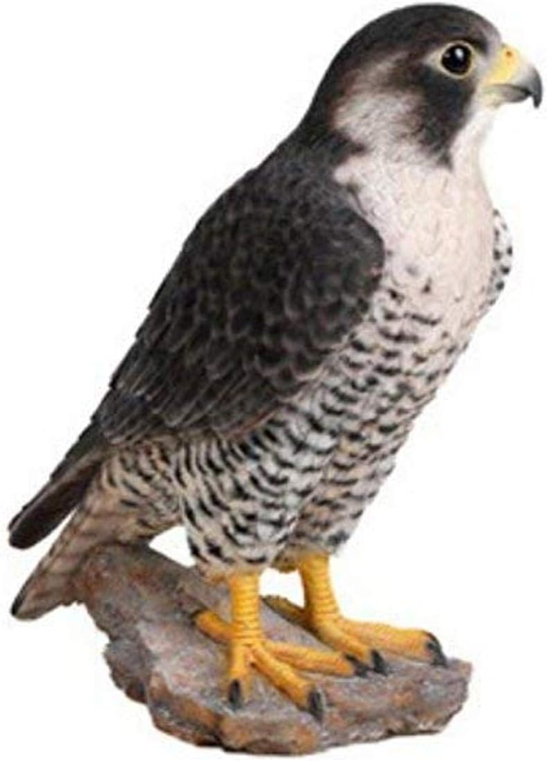 Amazon.com: Ebros Realistic Wildlife Yellow Tailed Hawk Perching On ...