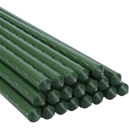 Amazon.com : Tingyuan Garden Stakes 48 Inches Steel Plant Stakes, Pack ...