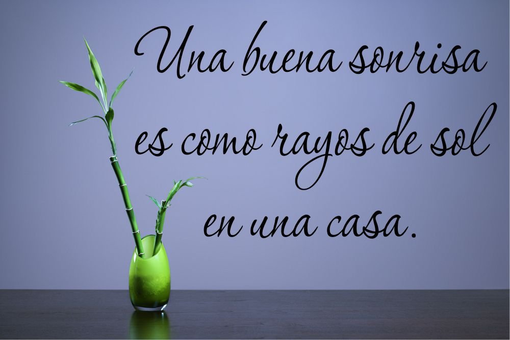 Sonrisa Quotes Tu Sonrisa Me Da Vida WakeMeUpInMadrid's Ko Fi Shop