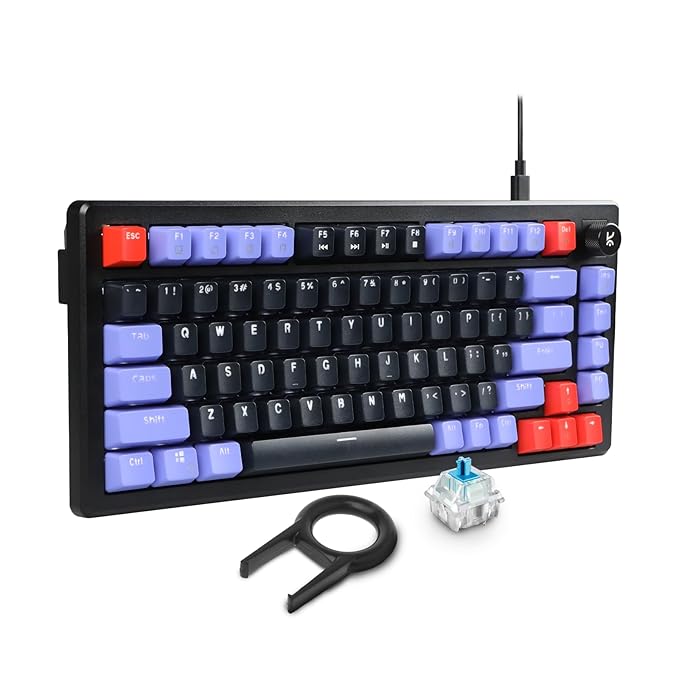 Amazon.in: Buy Kreo Hive Anti-ghosting Gaming Keyboard | 75% Tenkeyless ...