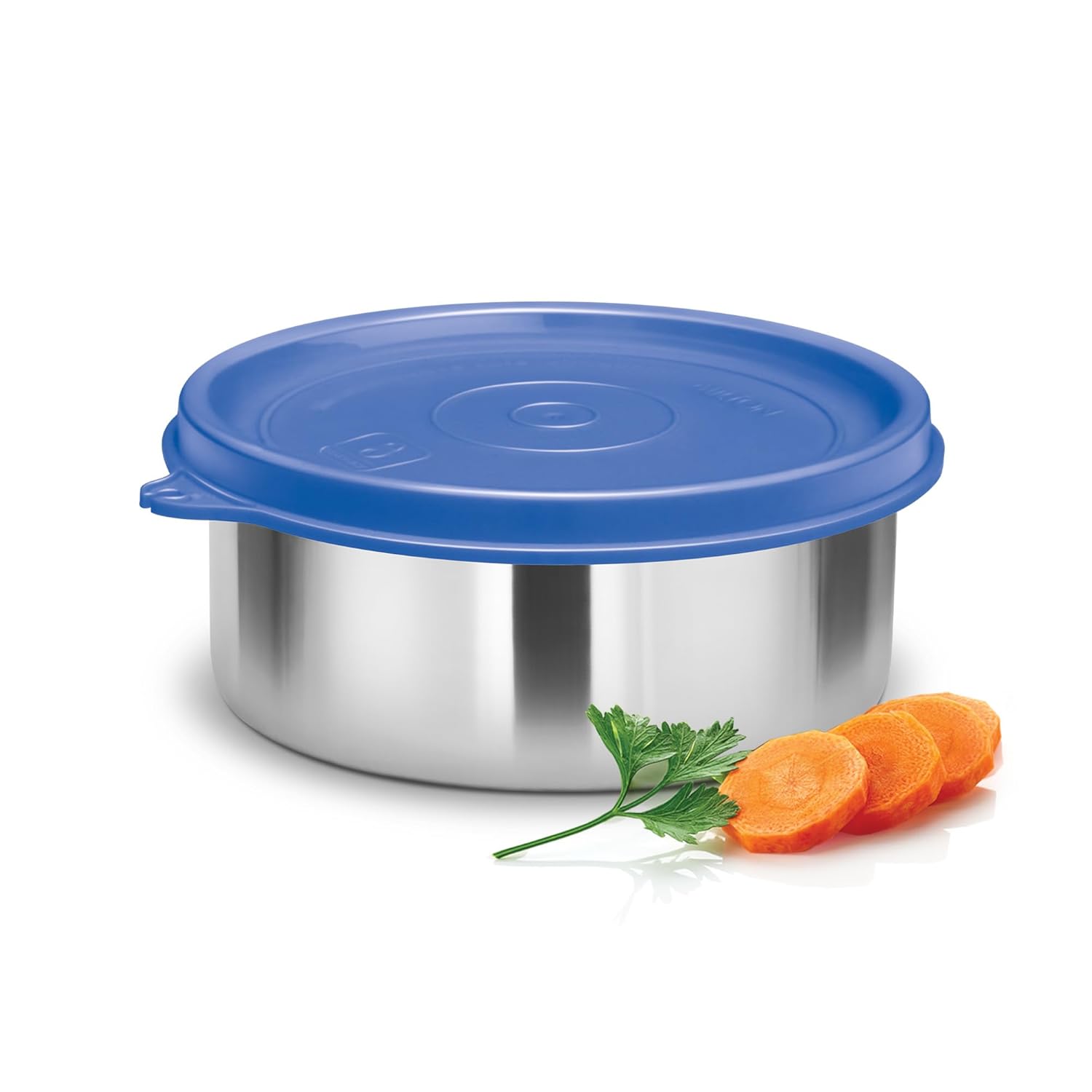 Buy MILTON Steel Pro 300 Stainless Steel Container, 300 ml, Blue Online ...