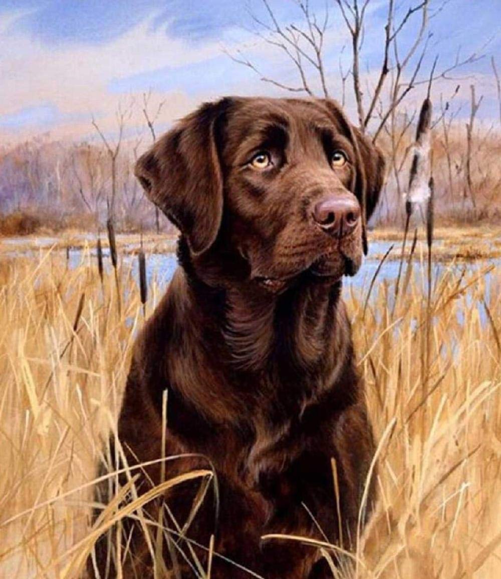 Chocolate Lab Puppy Painting
