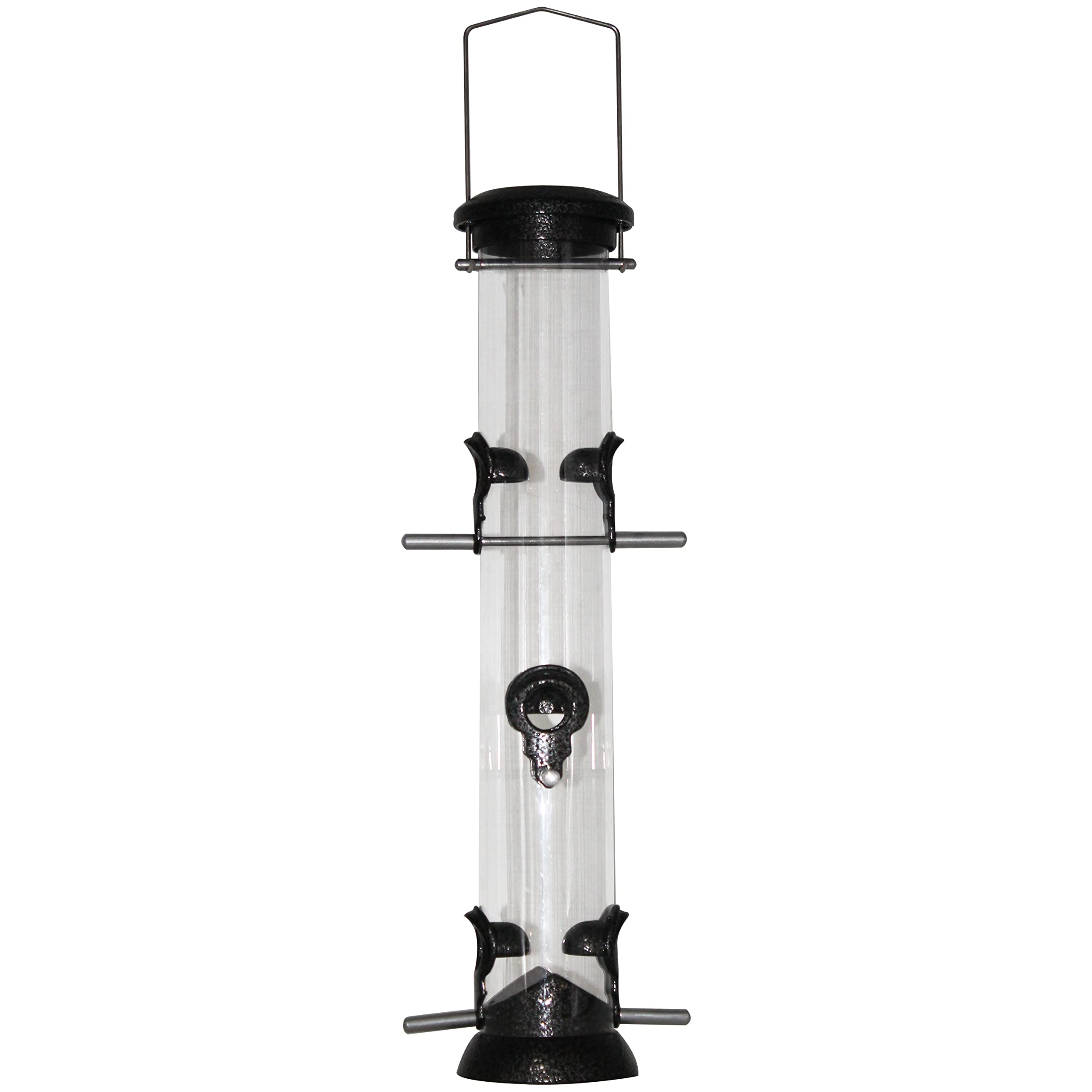 Best Carolina Wren Bird Feeders for Your Garden - Hummingbirds Plus