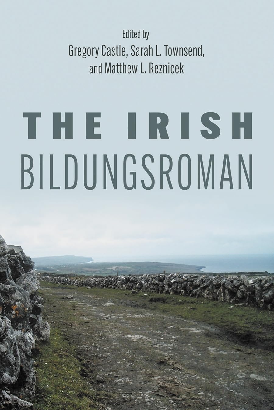 Amazon.com: The Irish Bildungsroman (Irish Studies): 9780815638537 ...
