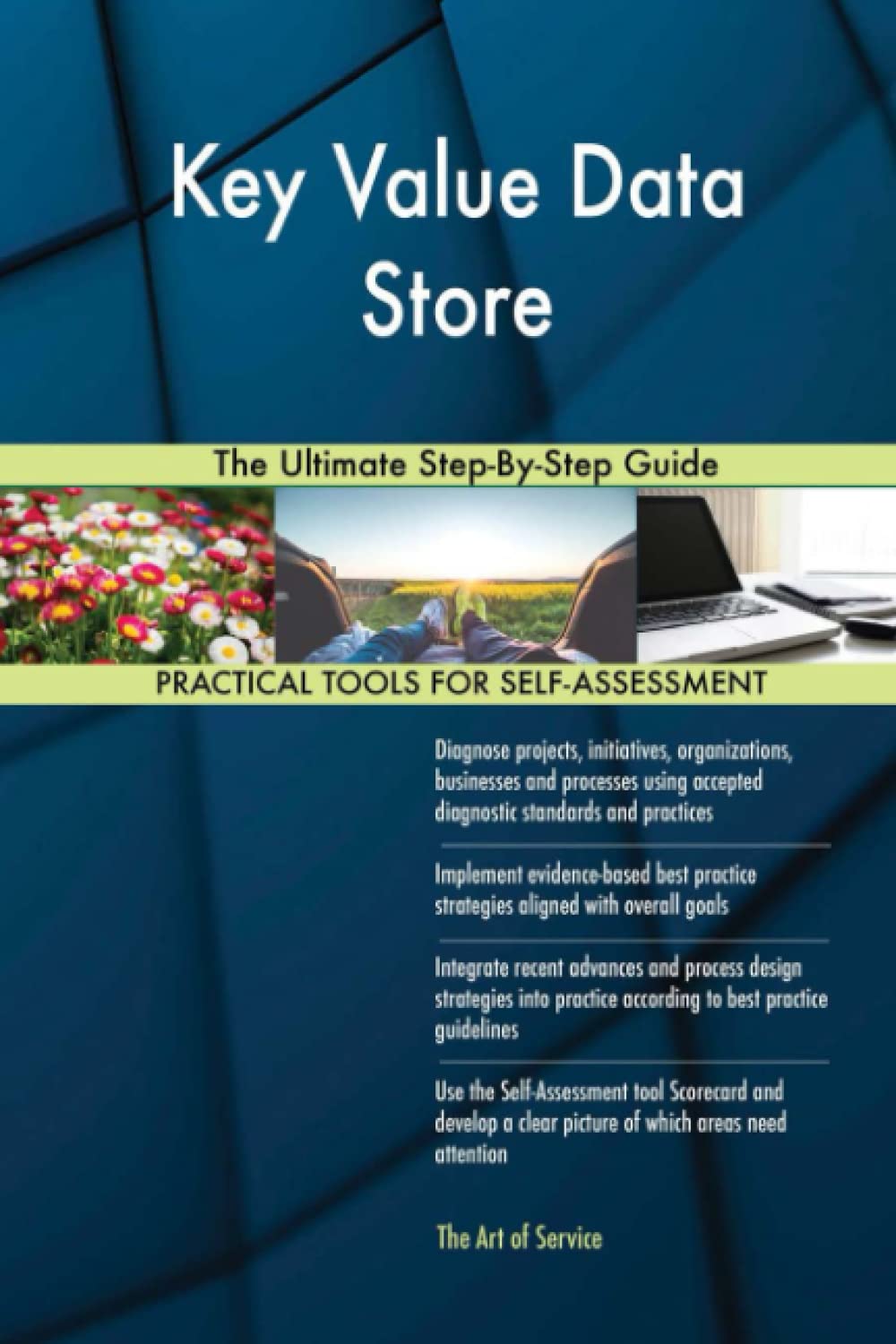 Key Value Data Store The Ultimate Step-By-Step Guide: Gerardus Blokdyk ...